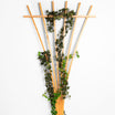 Fan Trellis, Red Cedar Garden Fan Trellis | Cedarshed USA